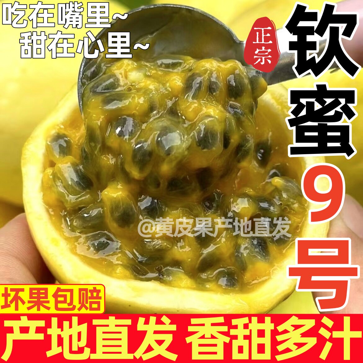广西钦蜜9号黄金百香果新鲜现摘现发当季灵山黄金百香果纯甜水果