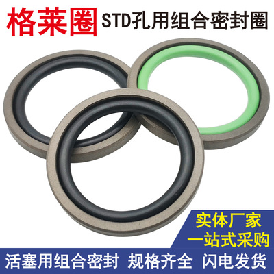 STD孔用格莱圈ptfe油封oe密封30 32 35 36 38*19 21 24 25 27*4.2