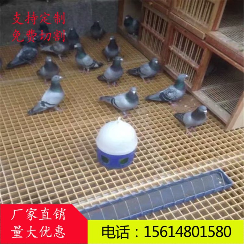 玻璃钢格栅板f洗车房水沟盖板排水鸽舍地网防滑垫市政绿化树池篦