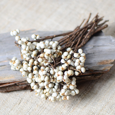 民宿风格乌桕森系花环材料小白果