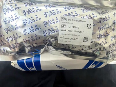 PALL 颇尔 SGLFPF6501SM6（Gaskleen V 系列）气体过滤器，