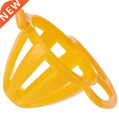 Yellow Bird Nest Hlow Hanging Cage Eggs Hatching To For