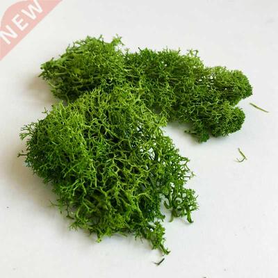 30G Lichen Moss cluster for bushes,model trees foliage scale