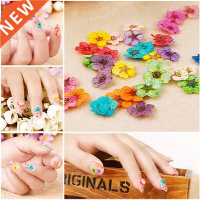 1 Box 3D Dried Flower Nail Decoration Natural Floral