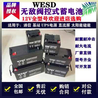 WESD无敌蓄电池WD17-12胶体12V7AH12A20A24A38A40A65A100A消防UPS