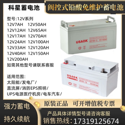 USAOK科星蓄电池12V型号UPS机房