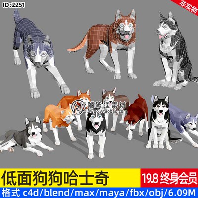 3D卡通模型 低面风格哈士奇C4D狗狗模型二哈Blend素材OBJ格式文件