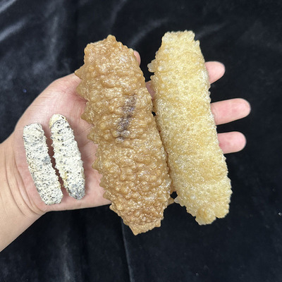 澳洲黄玉参干货纯淡干剌参50头60头海参批水发黄肉参野生海参干货