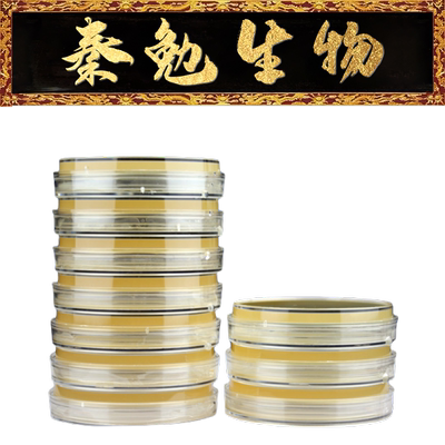 青岛海博纤维二糖HBPM4151-2