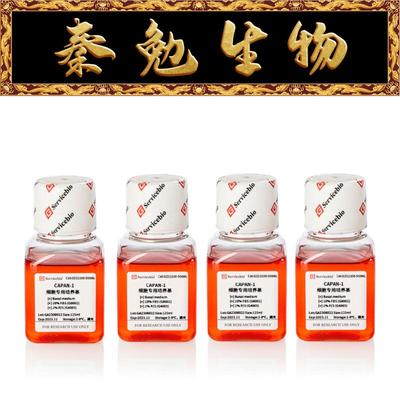 赛维尔CAPAN-1细胞专用培养基