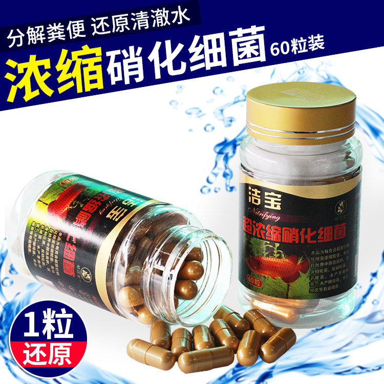 硝化细菌胶囊鱼缸净水剂养鱼用品水族水质稳定硝化细菌片分解粪便