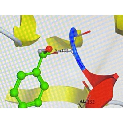 分子对接之共价对接 对接方法:薛定谔、MOE