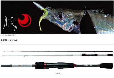 月下美人路亚竿DAIWA/达亿瓦