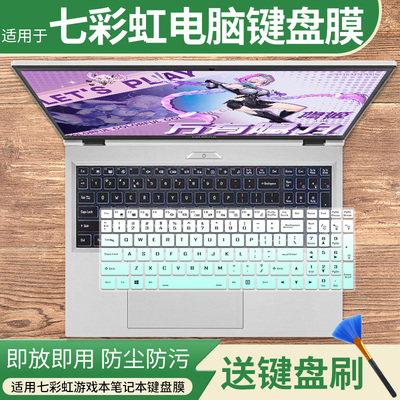 适用七彩虹（Colorful）隐星P16Pro 13代酷睿i9 16英寸键盘保护膜