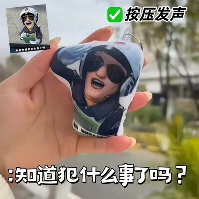 知道犯什么事了吗挂件搞