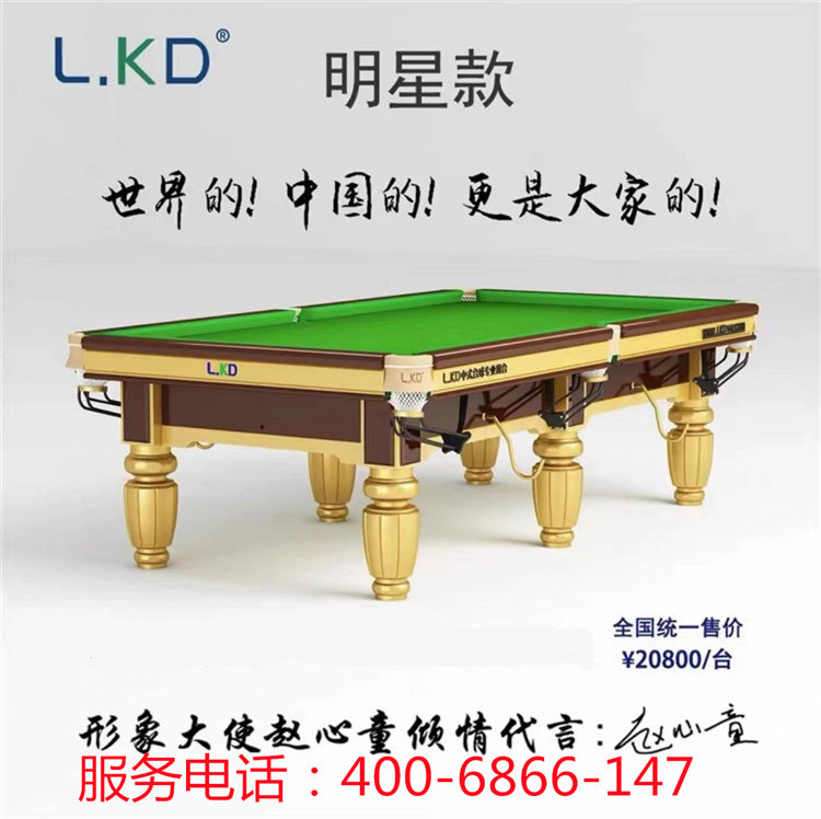 金腿LKD台球桌钢库赛台台球桌商用标准台球桌_虎窝淘