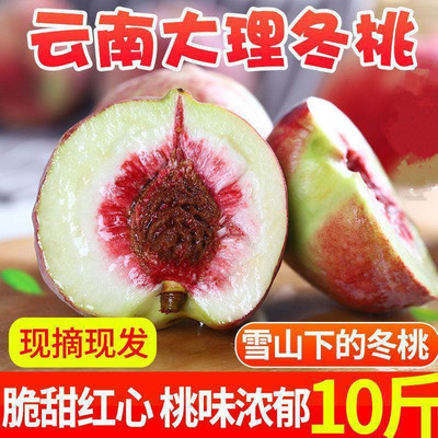 现摘新鲜云南大理高原冬桃脆甜鲜果非雪桃水蜜桃毛桃孕妇当季水果