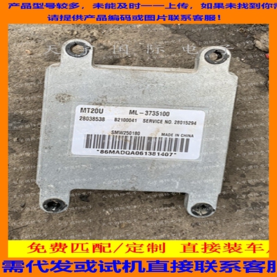 东风风行B210004128038538