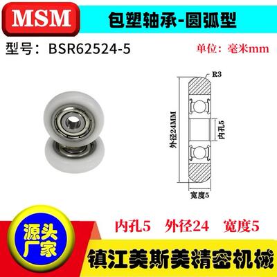 MSM外球面包塑轴承BSR62524-5