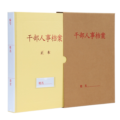 10个加厚纸板干部人事三种内夹