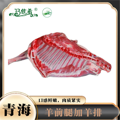 青海特产藏羊马佳肴草饲羊肉藏系绵羊羊排加羊前腿6斤 顺丰包邮