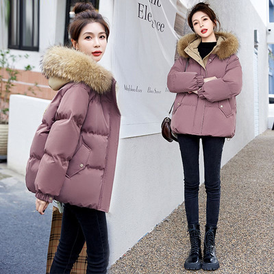 小个子羽绒服女冬季2025年刺绣袄