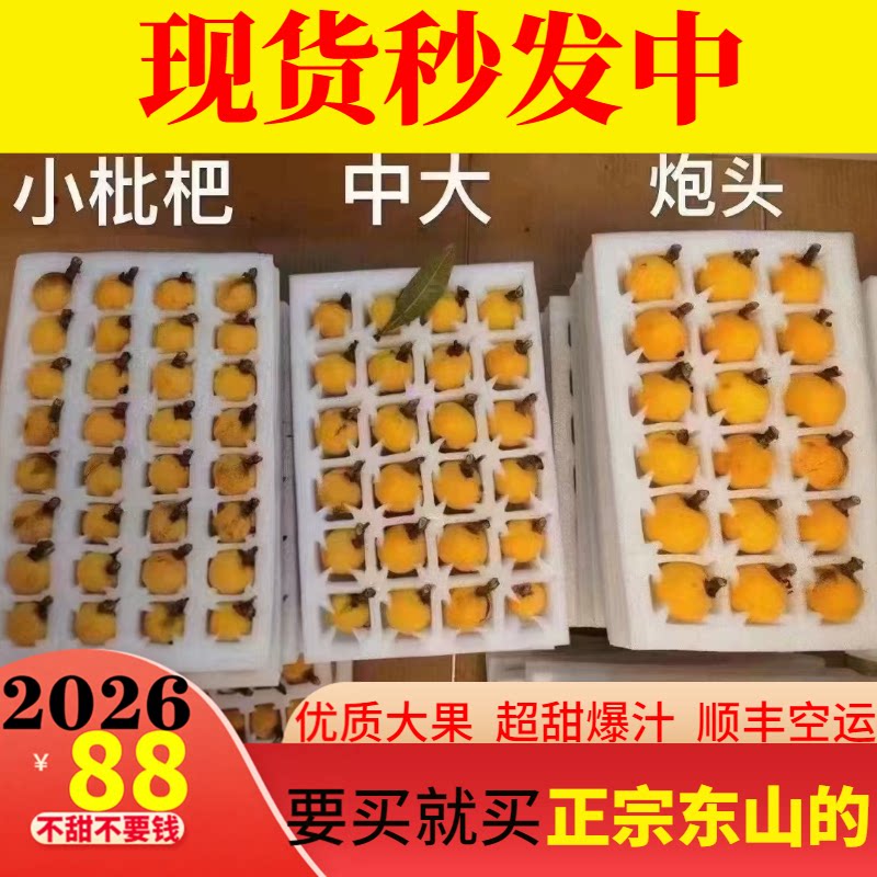 超甜正宗苏州东山白玉枇杷白沙琵琶甜蜜软糯爆汁当季水果端午礼盒