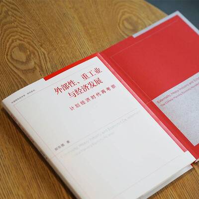 外部性、重工业与经济发展:计划经济时代再考察:the Chinese planning economy revisited郑东雅  经济书籍