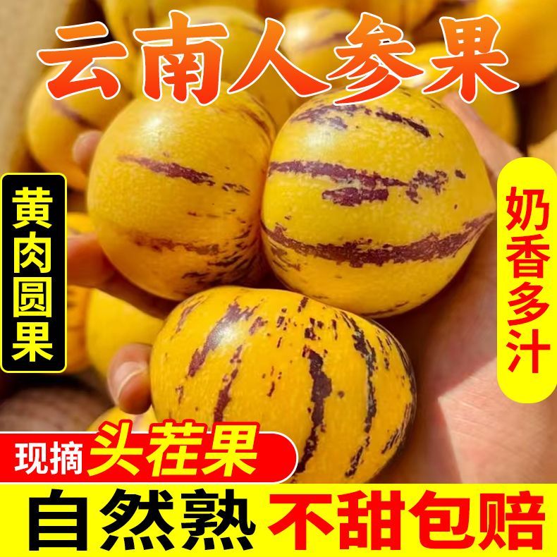 【自然熟】云南石林正宗树熟人参果圆果摘奶香多汁优选黄金果AA