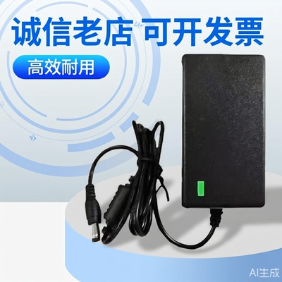4.2V3A2A1A强光手电筒头灯通用3.7V充电器水平仪小风扇DC5V充电器