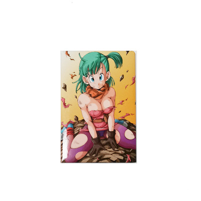 以火攻火 原创 七龙珠 DRAGONBALL 布尔玛 卡通 冰箱磁性贴 磁力