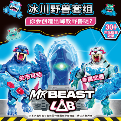 瑞华行Mrbeast野兽先生盲盒