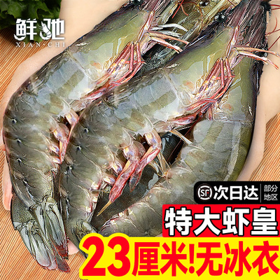 50万回购！亏本冲量！净重无冰！