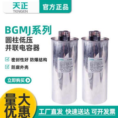 天正BGMJ圆柱低压电容器