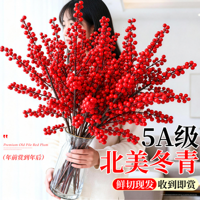北美冬青红果真花鲜切年宵花