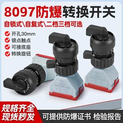 YH8097防爆转换开关防腐控制旋钮按钮二档三档带EX银点自锁自复式