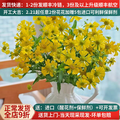 秋天色彩油画小菊基地直发顺丰