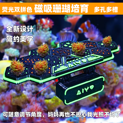 强磁荧光珊瑚支架繁殖基座托架