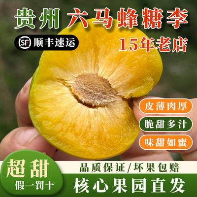【果园直发】正宗六马蜂糖李大果