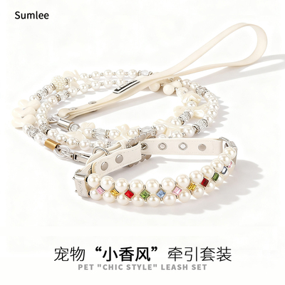 高颜值宠物牵引绳项圈