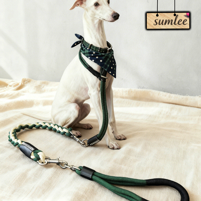 狗狗外出训练专用编织牵引绳项圈