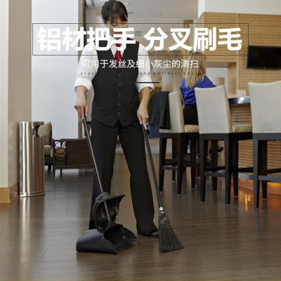 进口扫帚商用家用防风垃圾铲