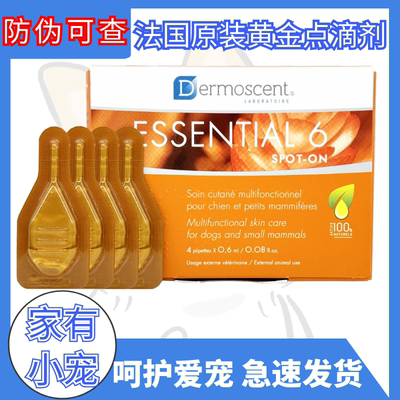 黄金点关注店铺享优惠