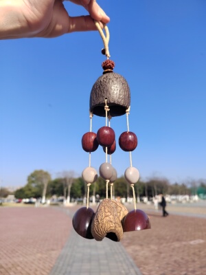 手摇铃手工印尼进口果实伴奏果壳水声音疗愈瑜伽早教乐器