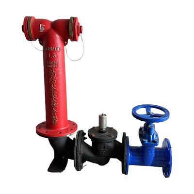 SQS100/150-1.6地上式消防水泵接合器SQA100-1.6地下式水泵接合器