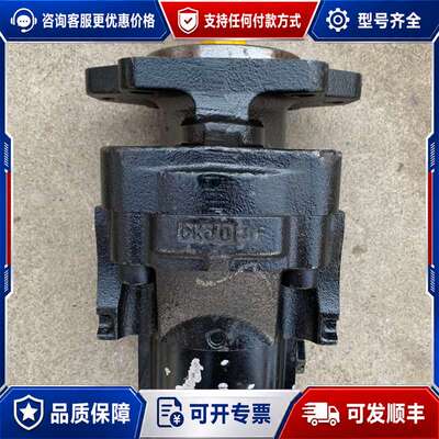 议价凯斯帕齿轮泵KP30.24可维修