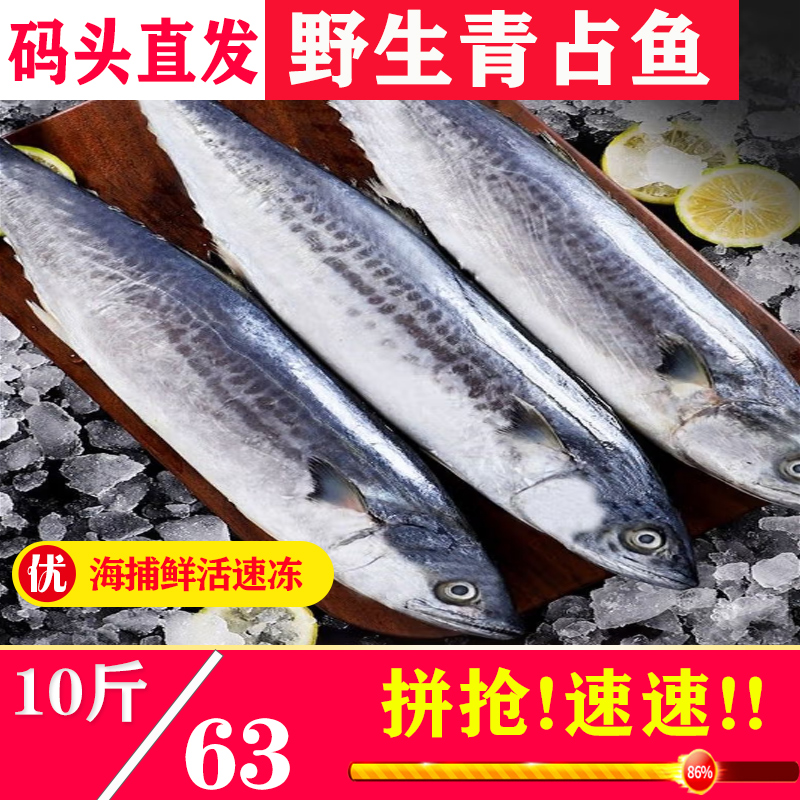 新鲜鲐鲅鱼 整条海鲜活冷冻 5斤青占鱼燕鱼青花鱼生鲜食材马鲛鱼