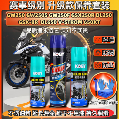适用铃木GW250S/F DL/GSX250R/8R/650XT链条油蜡清洗剂保养套装