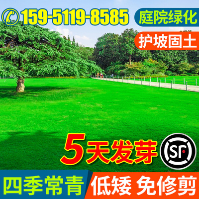 顺丰包邮支持货到付款量大优惠1