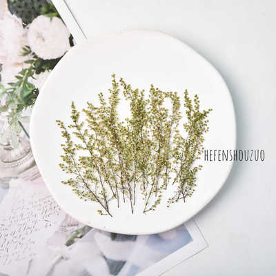 黄蒿穗相框树叶滴胶标本装饰画